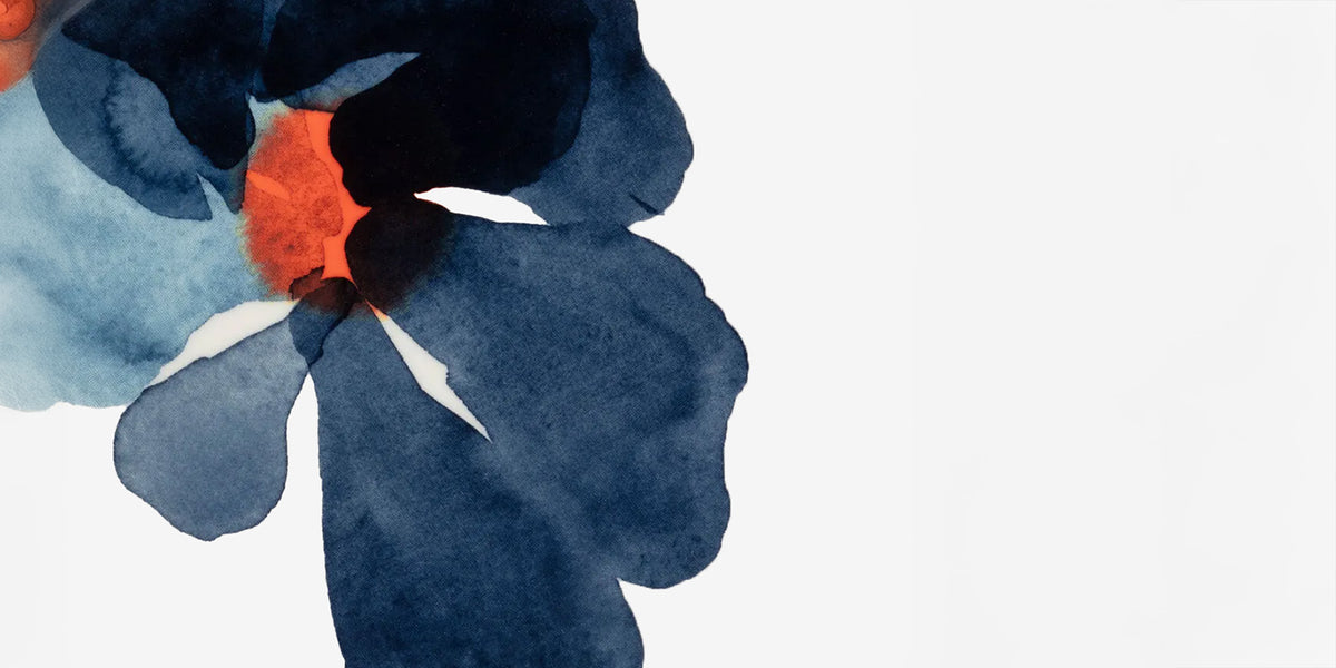 pirkko. Seattle | Nordic by Design